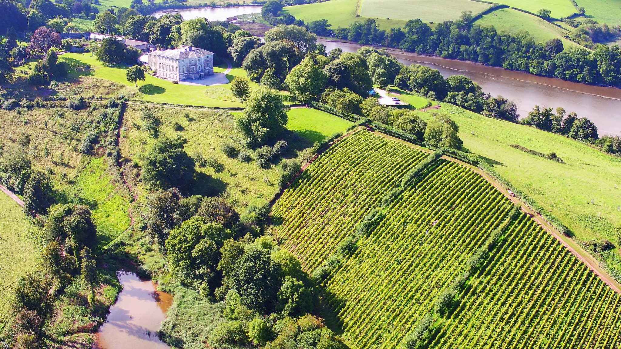 2018 At Sharpham Wine & Cheese - Sandridge Barton